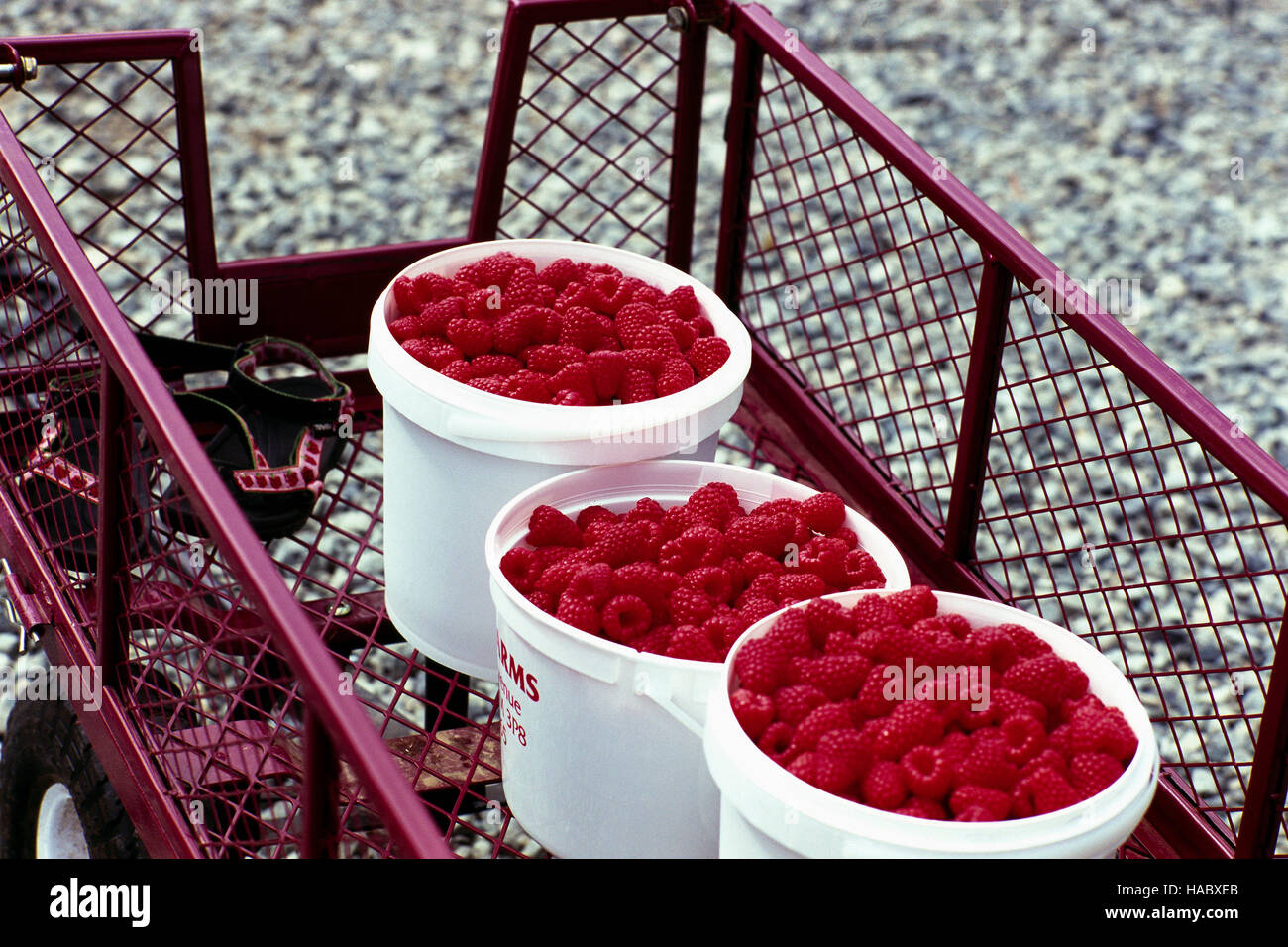 U pick farms hi-res stock photography and images - Alamy