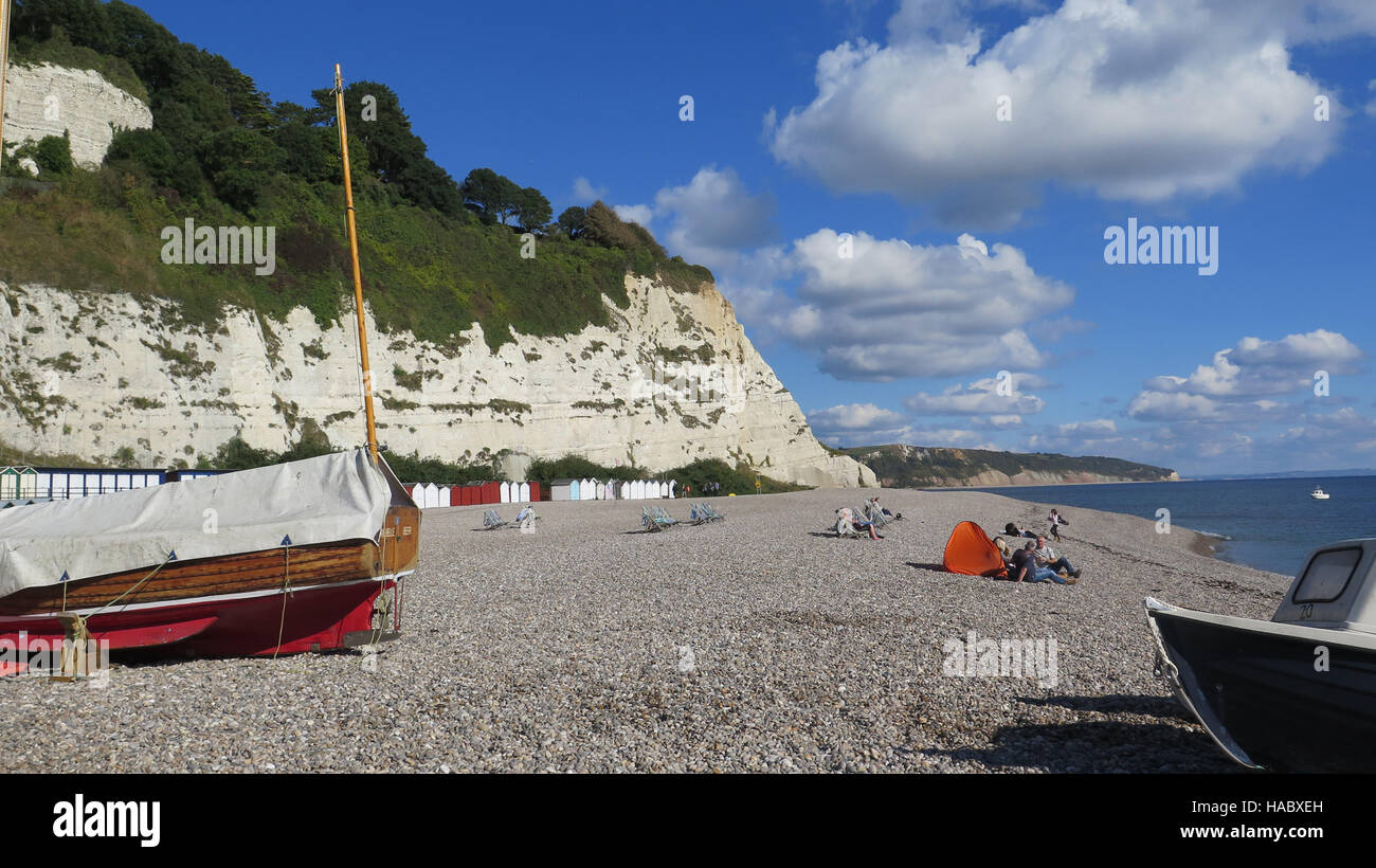 A view along the coastline at Beer in Devon Stock Photo - Alamy