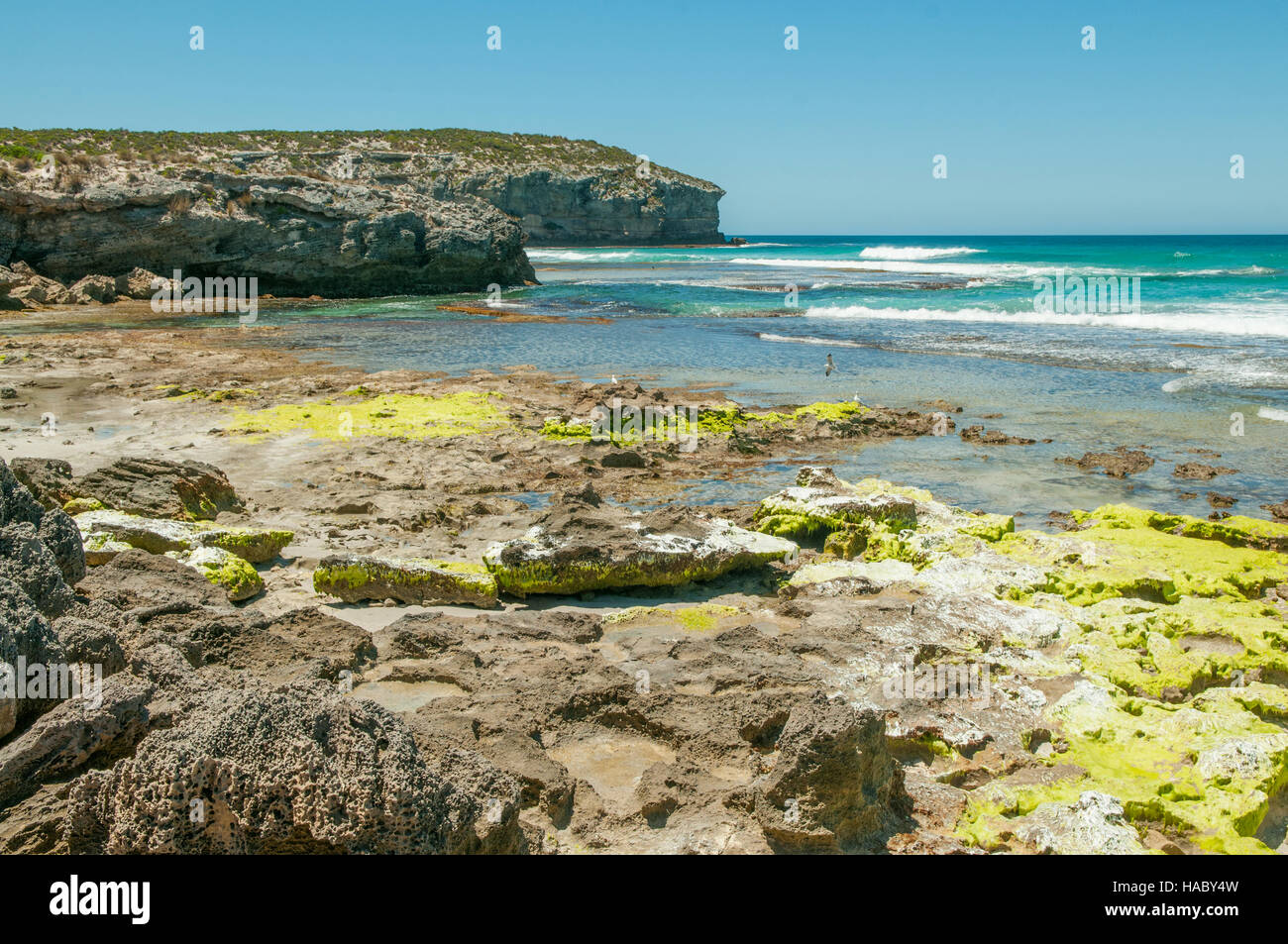 Pennington hi-res stock photography and images - Alamy