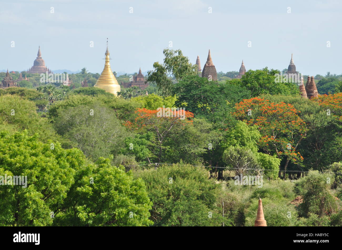 Bagan pagodas between lush green summer trees in Myanmar Stock Photo ...
