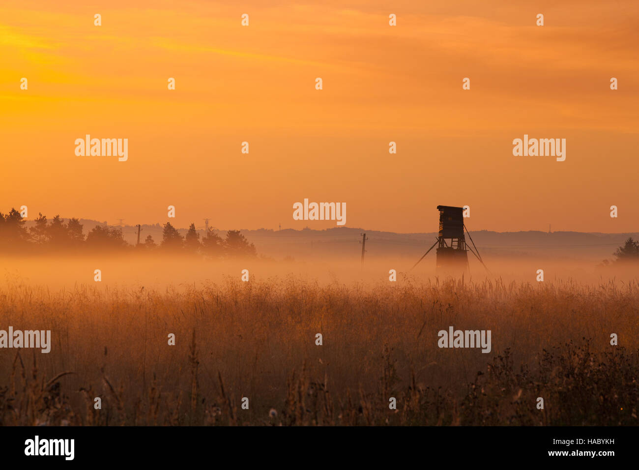 Hunting tower in the morning mist Stock Photo - Alamy