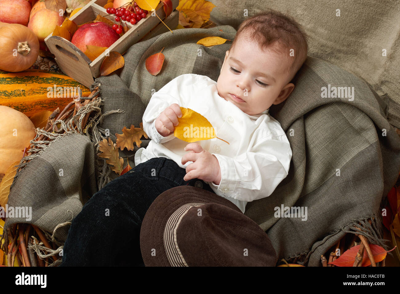 autumn little boy lie on yellow fall leaves, apples, pumpkin and ...