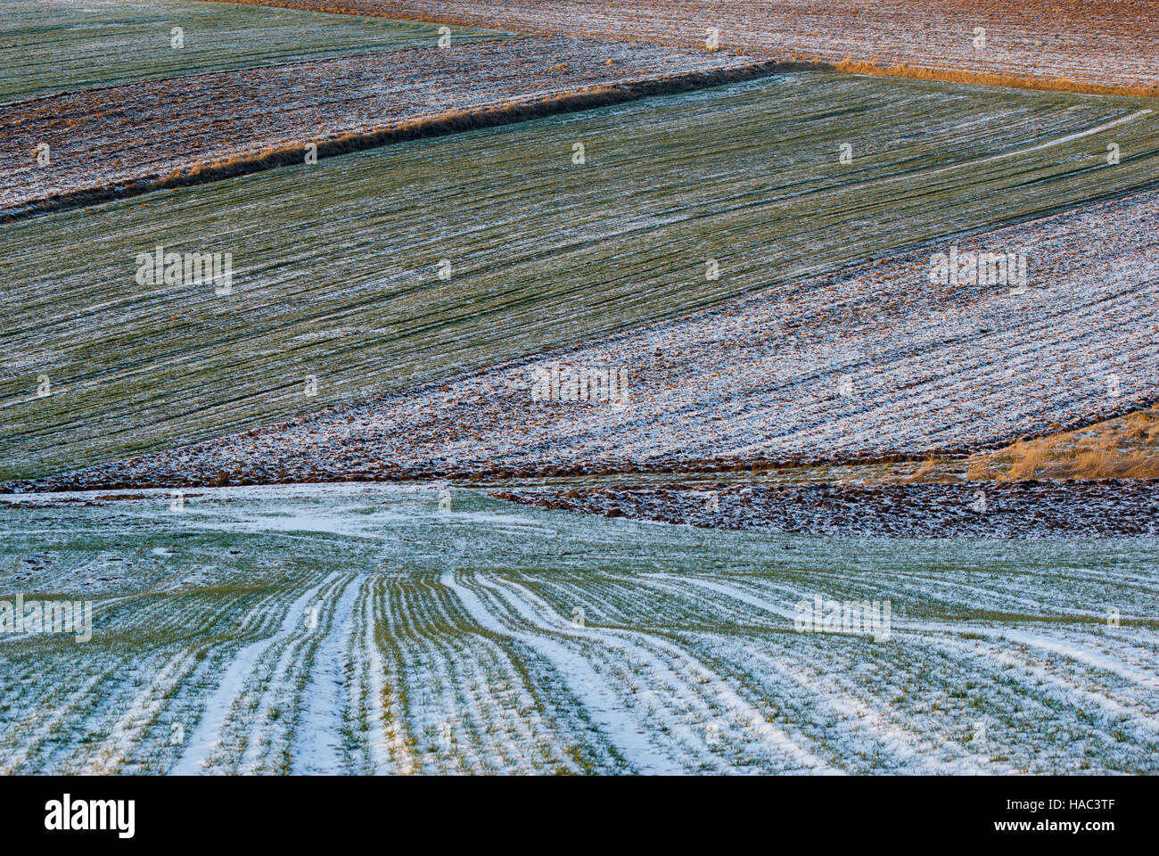 Fresh snow blankets fields Stock Photo - Alamy