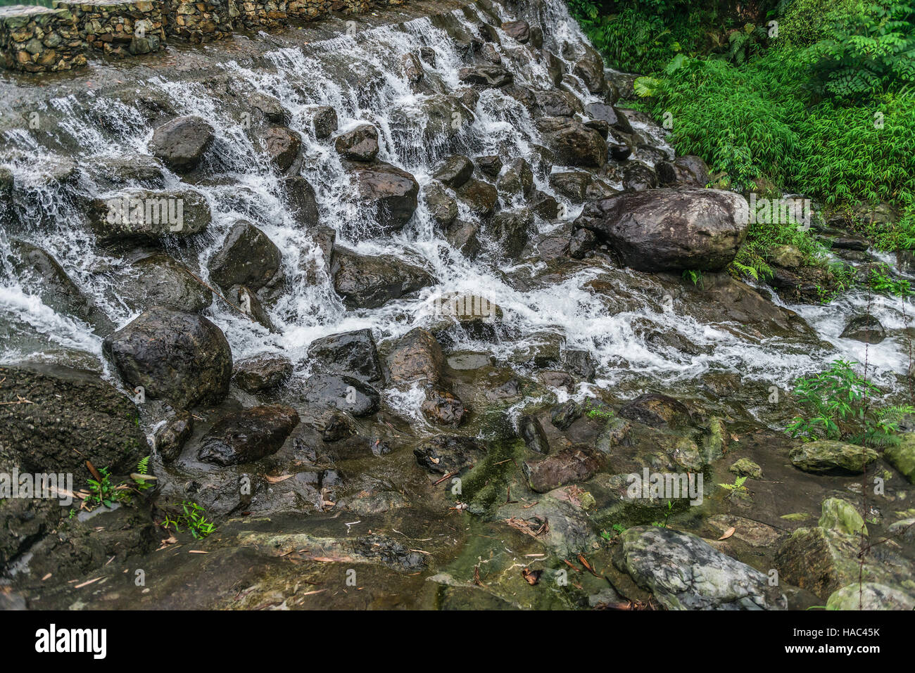 Forest stream flowing over mossy rocks hi-res stock photography and ...