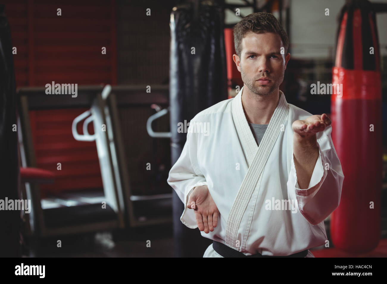 Karate player performing karate stance Stock Photo - Alamy