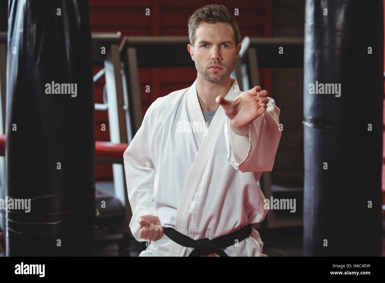 Karate player performing karate stance Stock Photo - Alamy