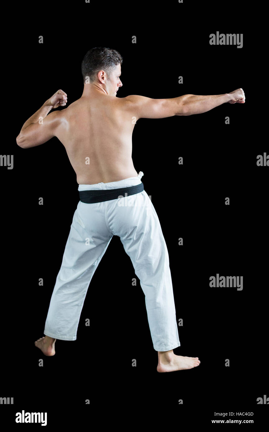 Karate fighter performing karate stance Stock Photo - Alamy
