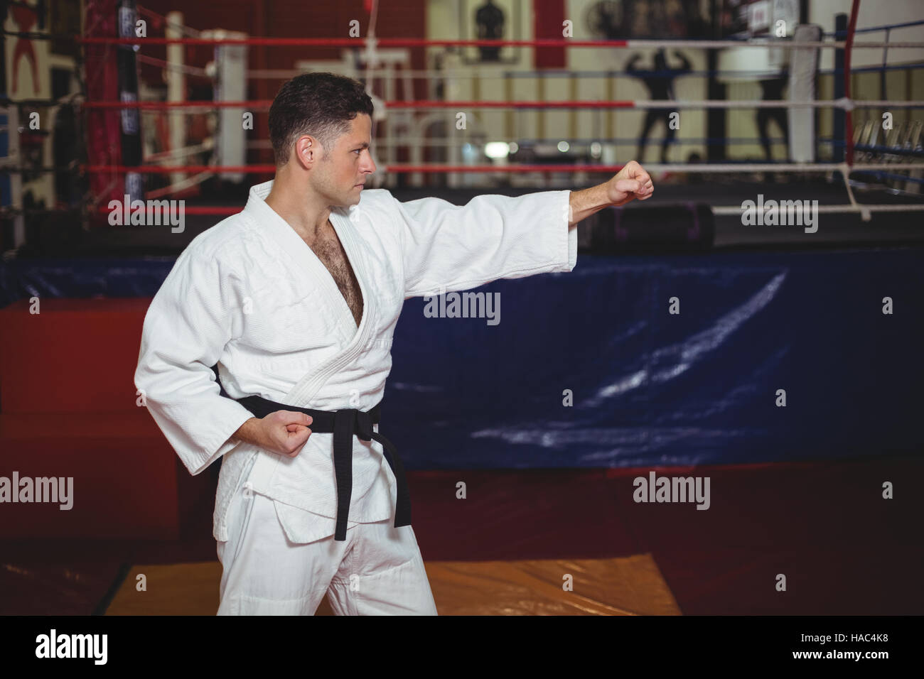 Karate player practicing karate stance Stock Photo - Alamy