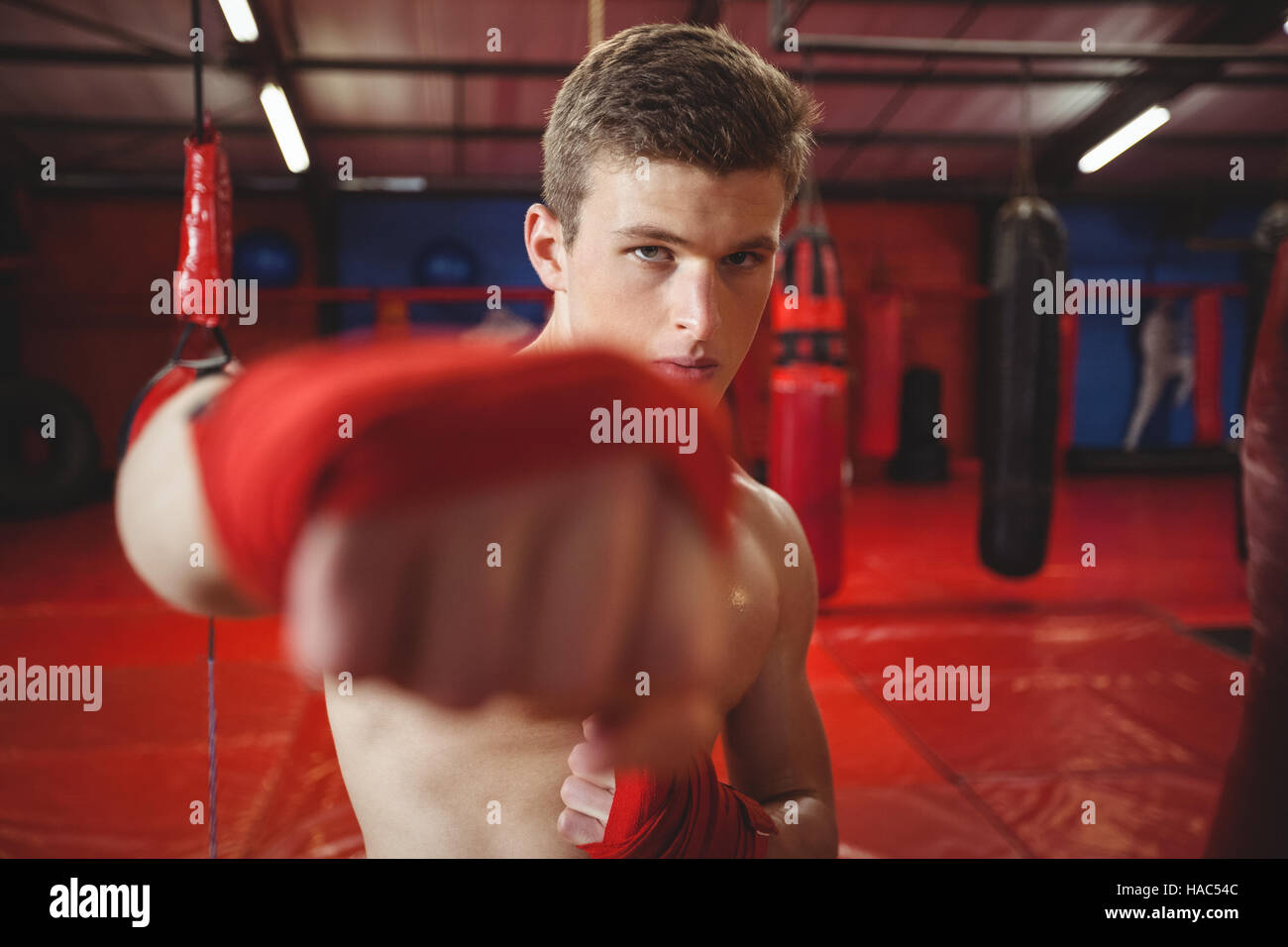 Portrait of a confident boxer punching Stock Photo - Alamy