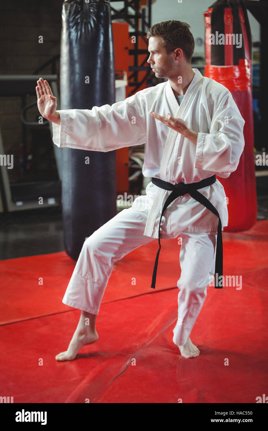 Karate player performing karate stance Stock Photo - Alamy