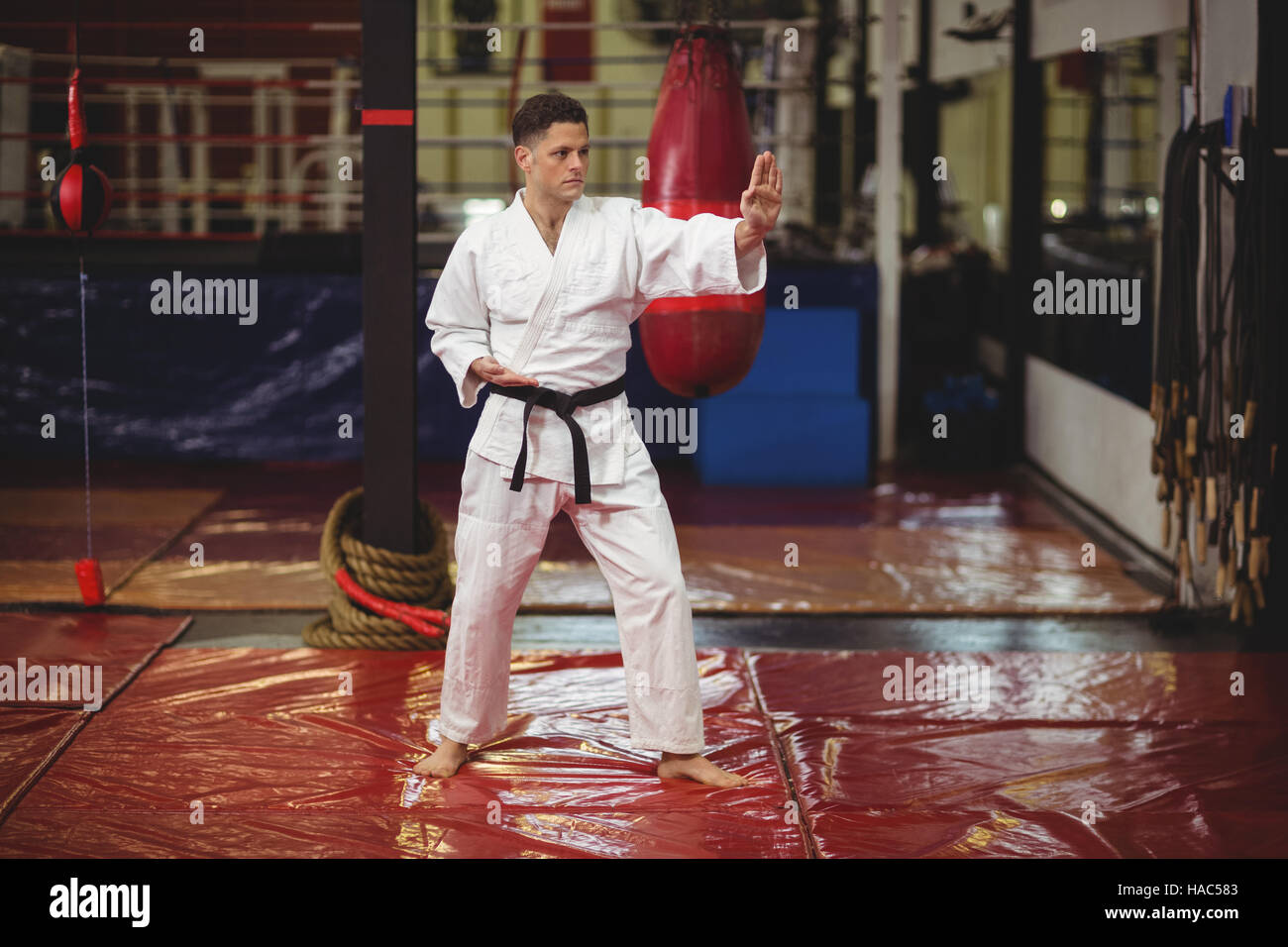Karate player performing karate stance Stock Photo - Alamy