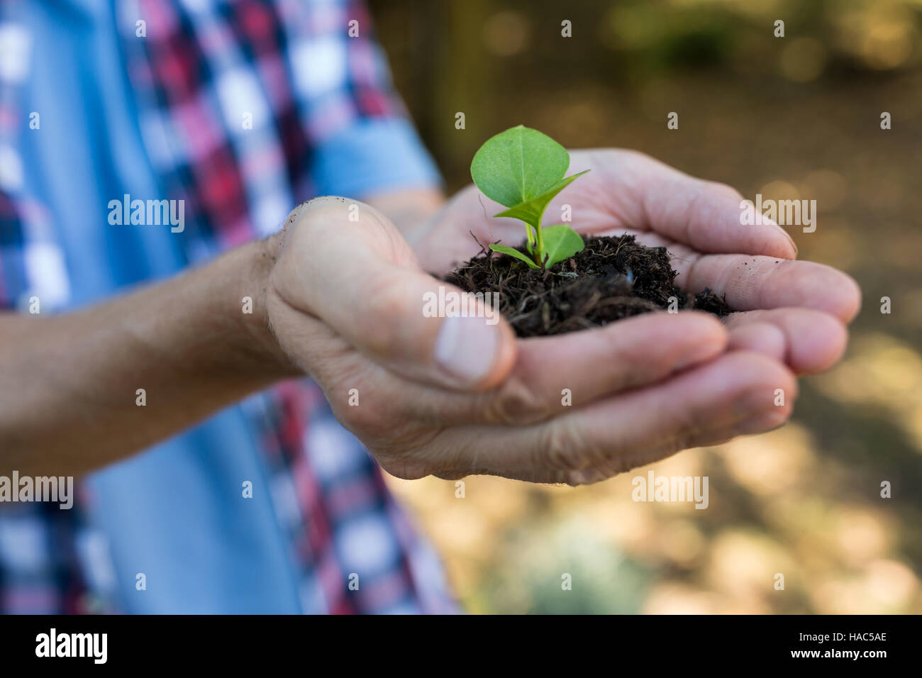Senior man holding crop in his hands Stock Photo - Alamy