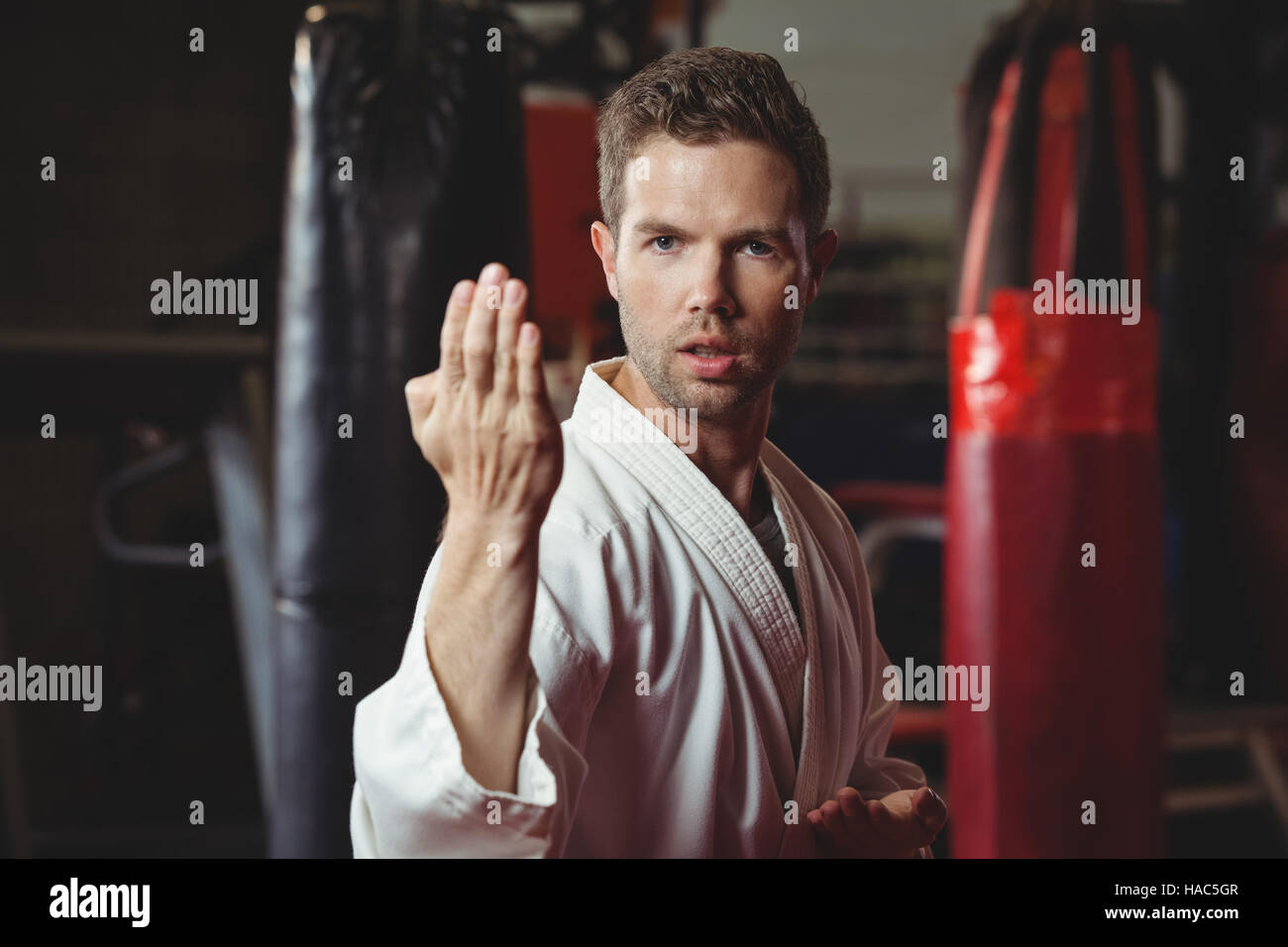Karate player performing karate stance Stock Photo - Alamy