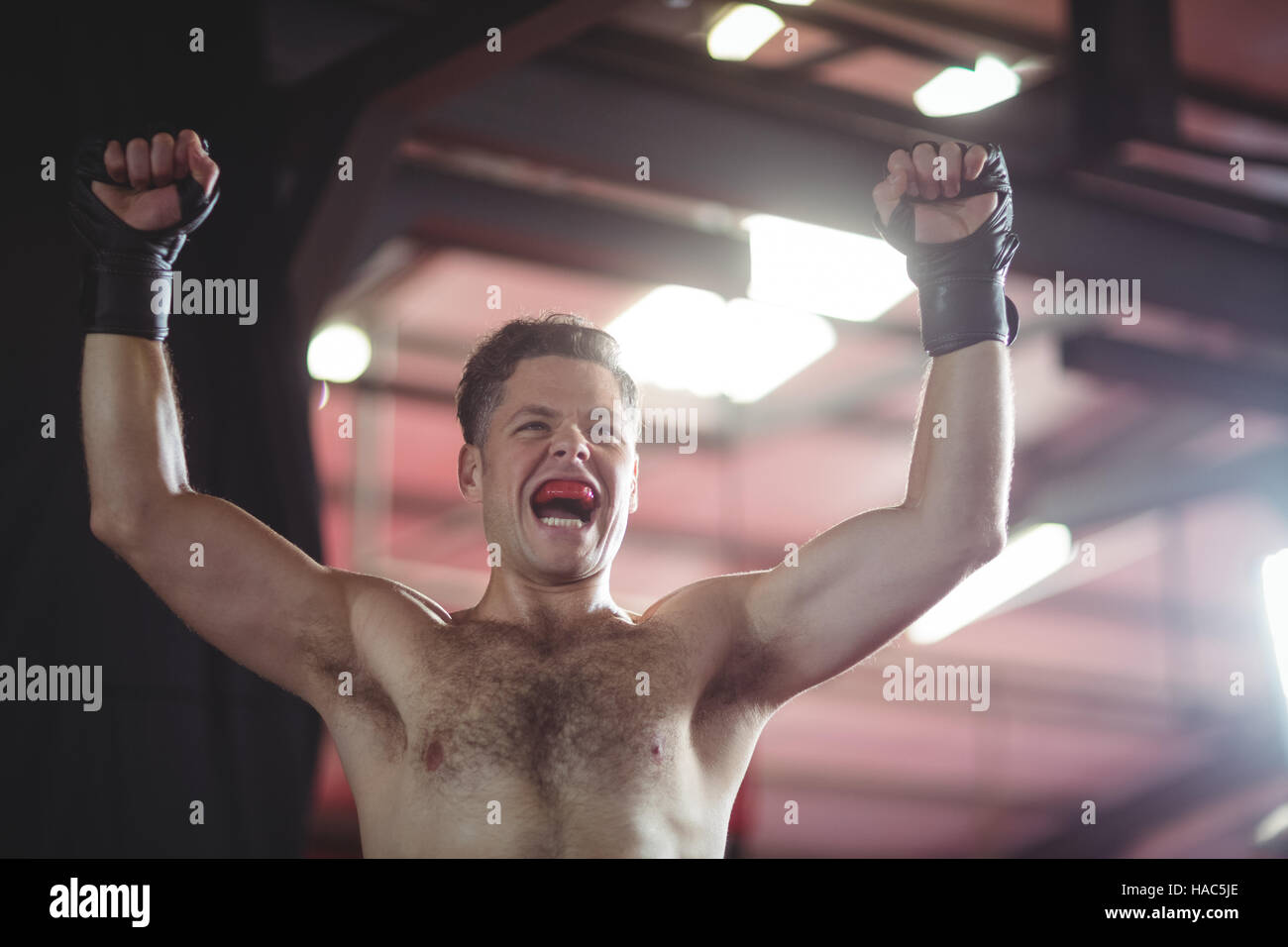 Boxer victory hi-res stock photography and images - Alamy
