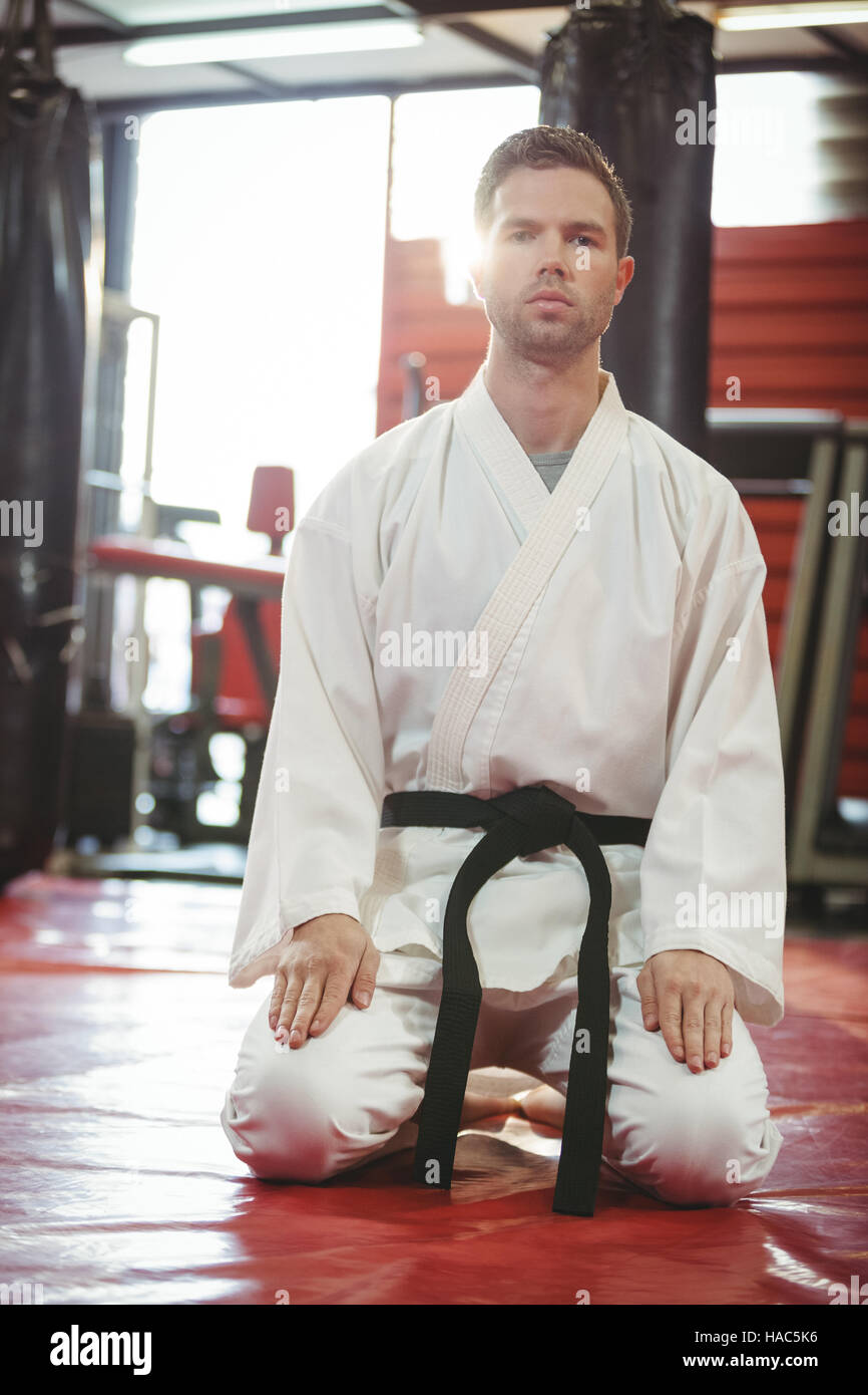 Karate player performing karate stance Stock Photo - Alamy