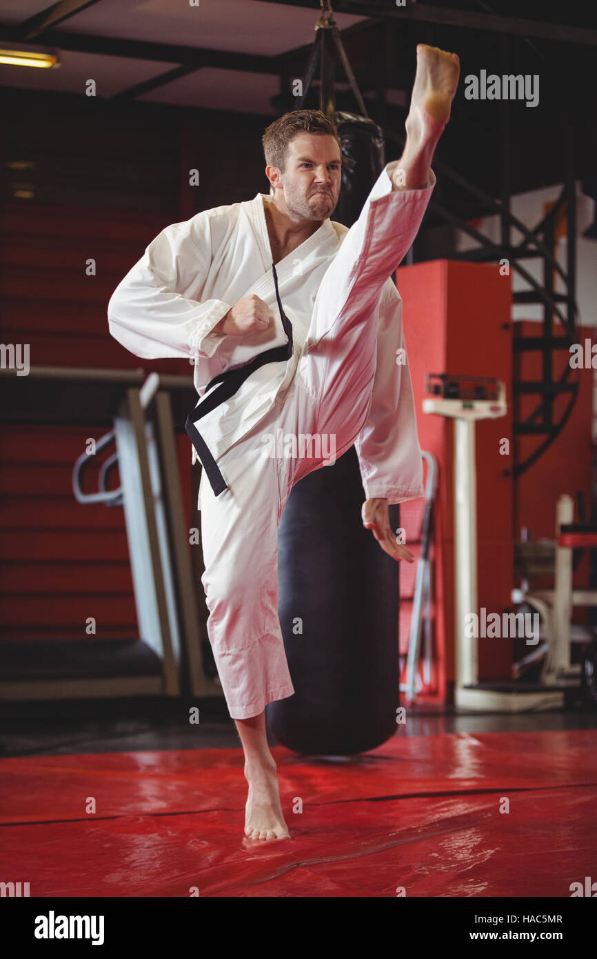 Karate player performing karate stance Stock Photo - Alamy
