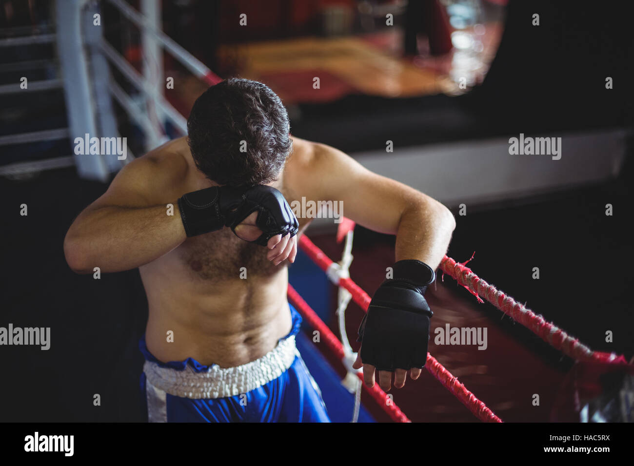 Boxer posing after defeat Stock Photo - Alamy