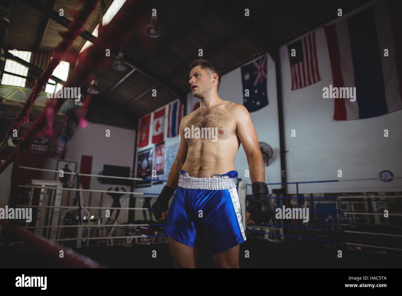 Boxing ring in arena hi-res stock photography and images - Alamy