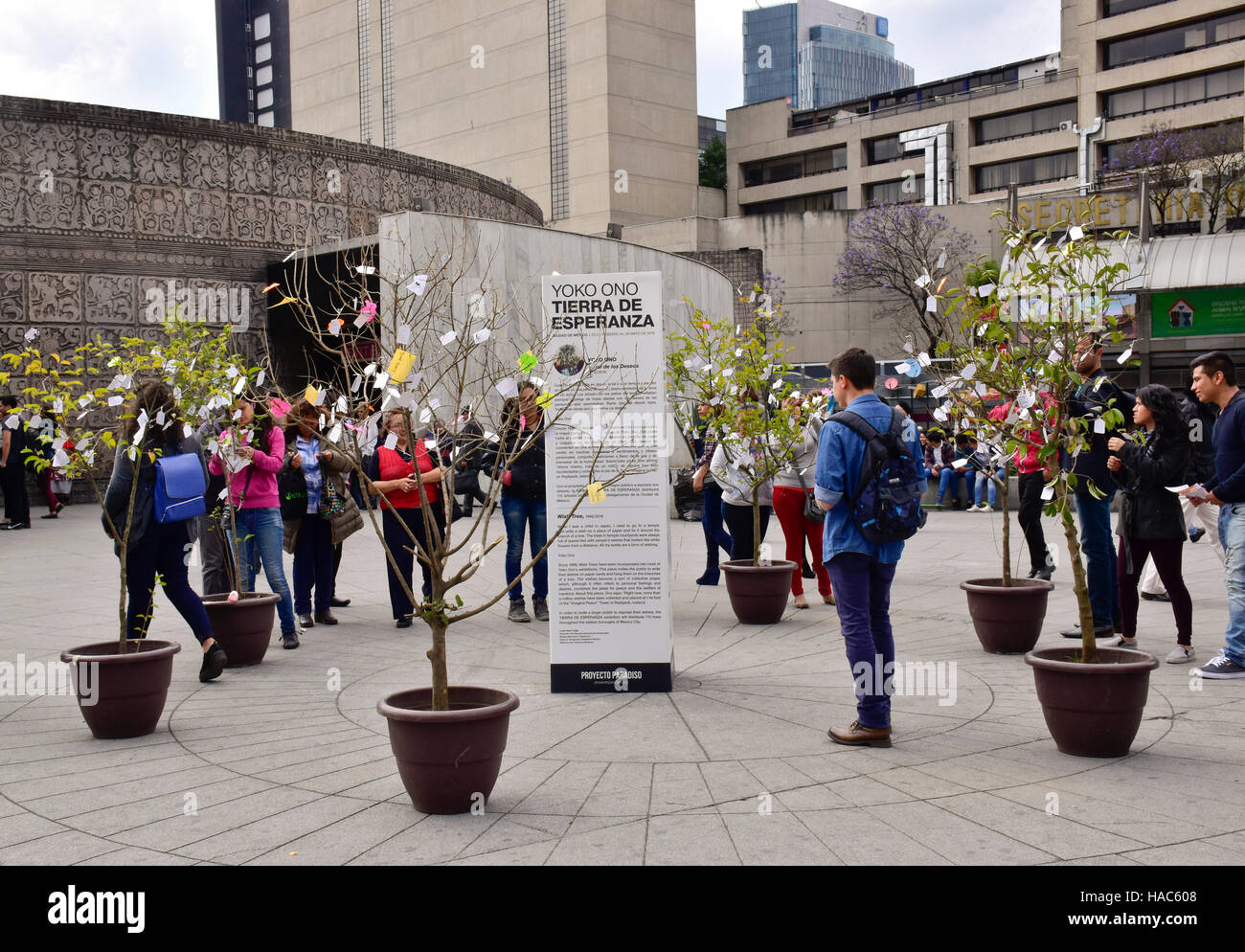 Yoko Ono's Wish tree exhibit, Imagine Peace" in Mexico City, Mexico ...