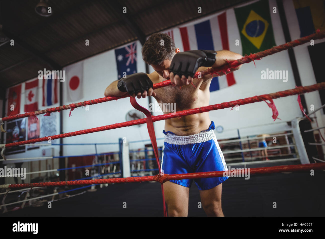 Boxer posing after defeat Stock Photo - Alamy