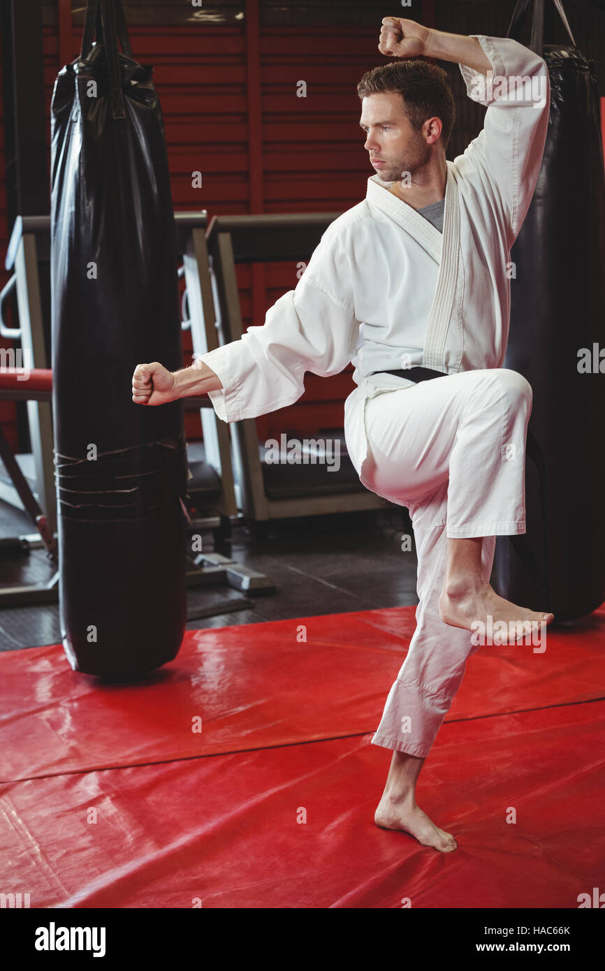 Karate player performing karate stance Stock Photo - Alamy