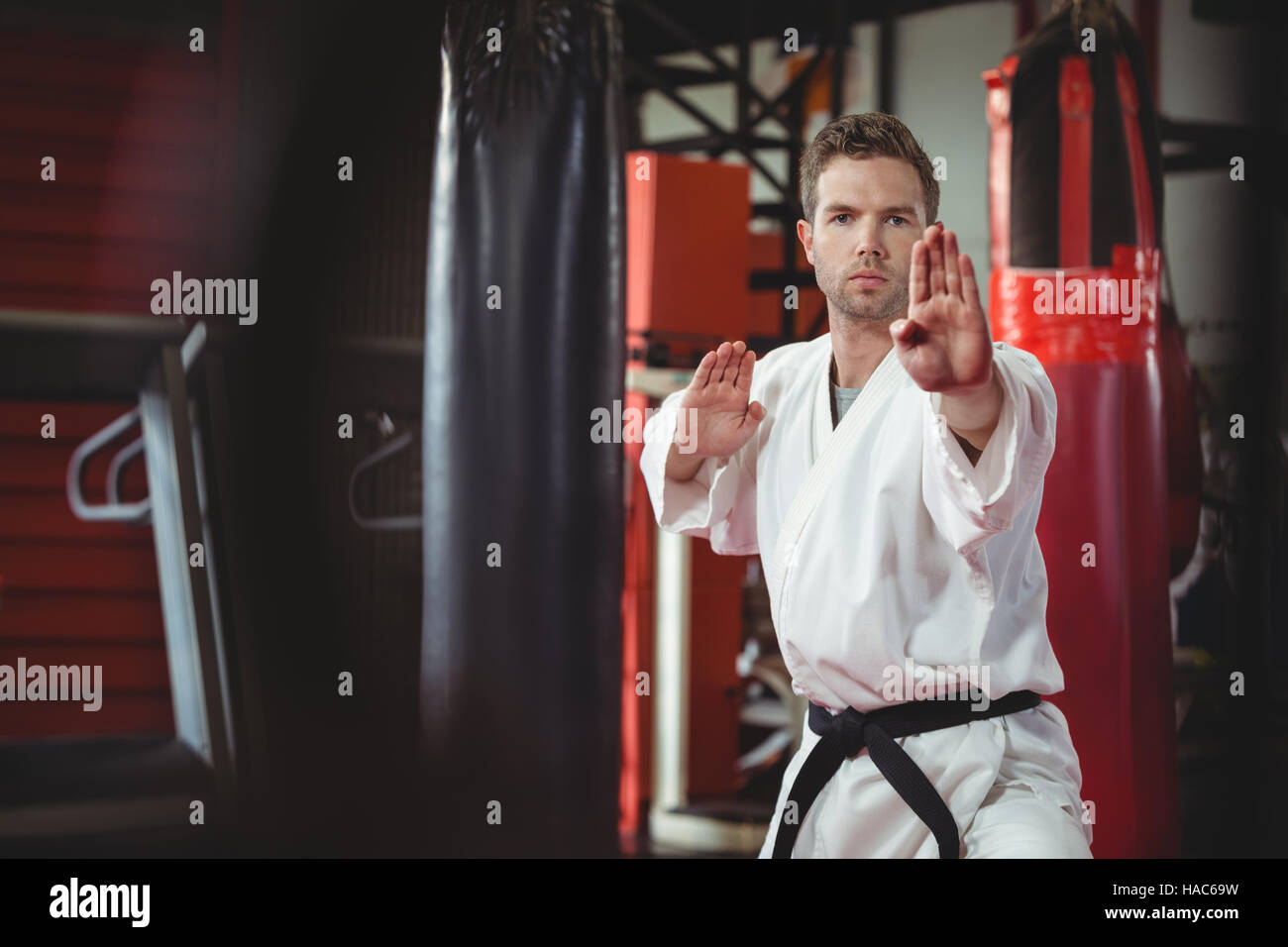 Karate player performing karate stance Stock Photo - Alamy