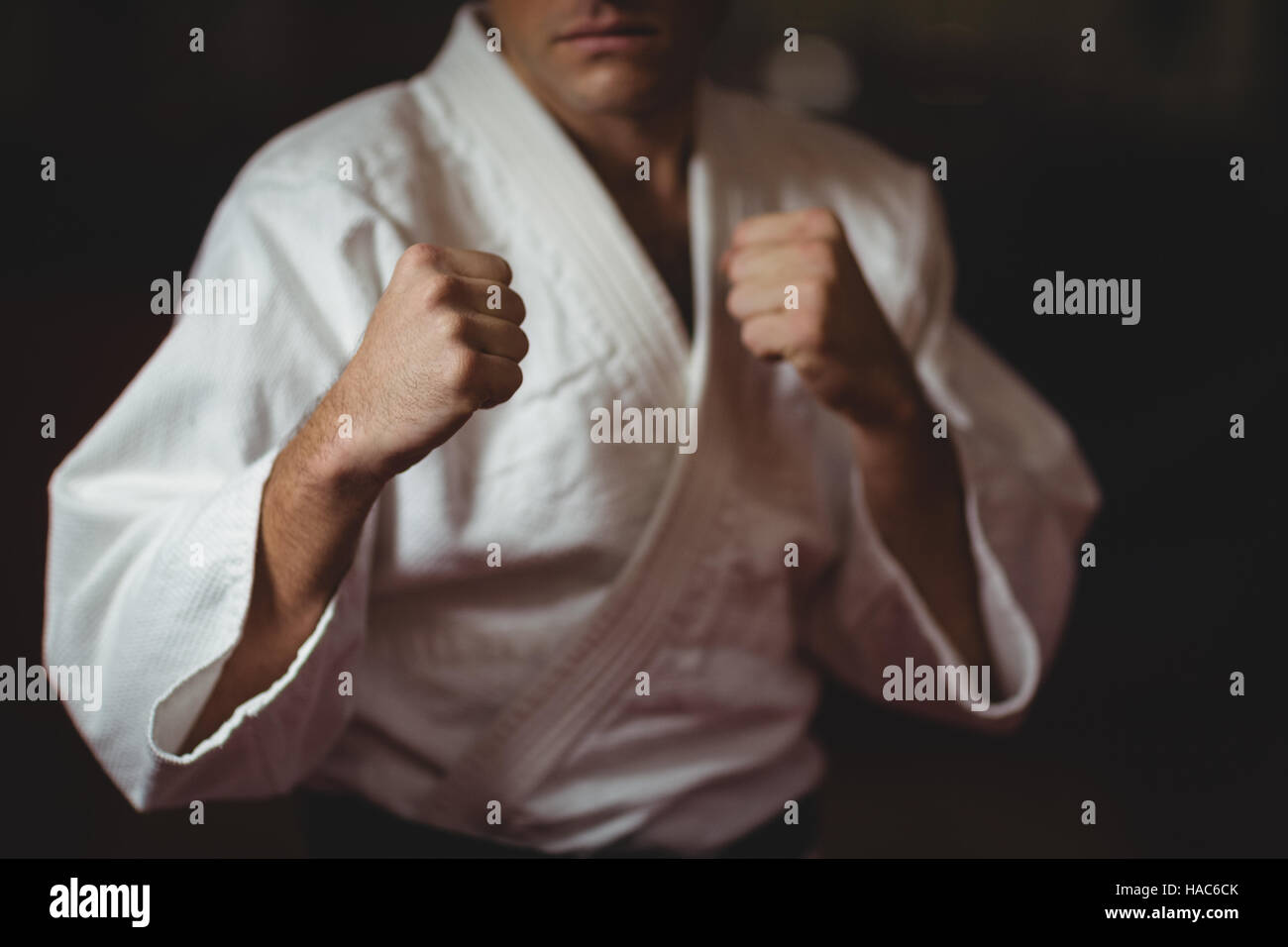 Karate player performing karate stance Stock Photo - Alamy