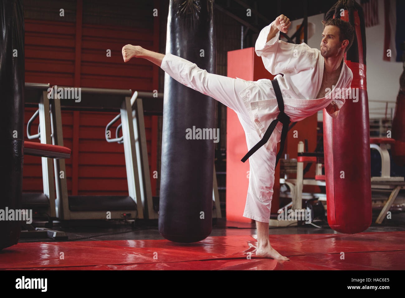 Karate player performing karate stance Stock Photo - Alamy