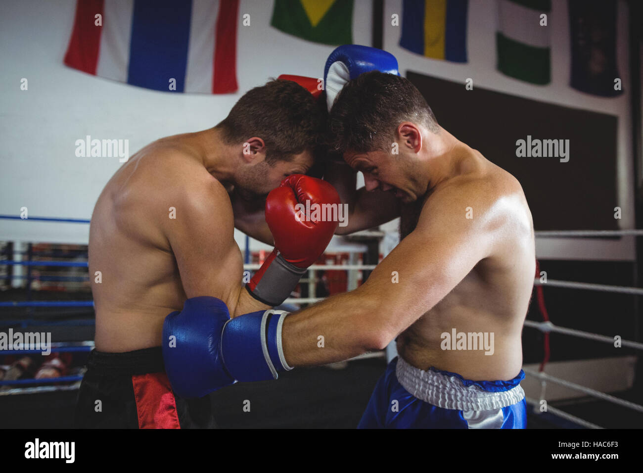 Boxers fighting in boxing ring Stock Photo - Alamy