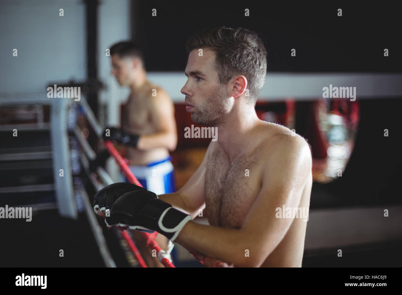 Boxers standing in boxing ring Stock Photo - Alamy