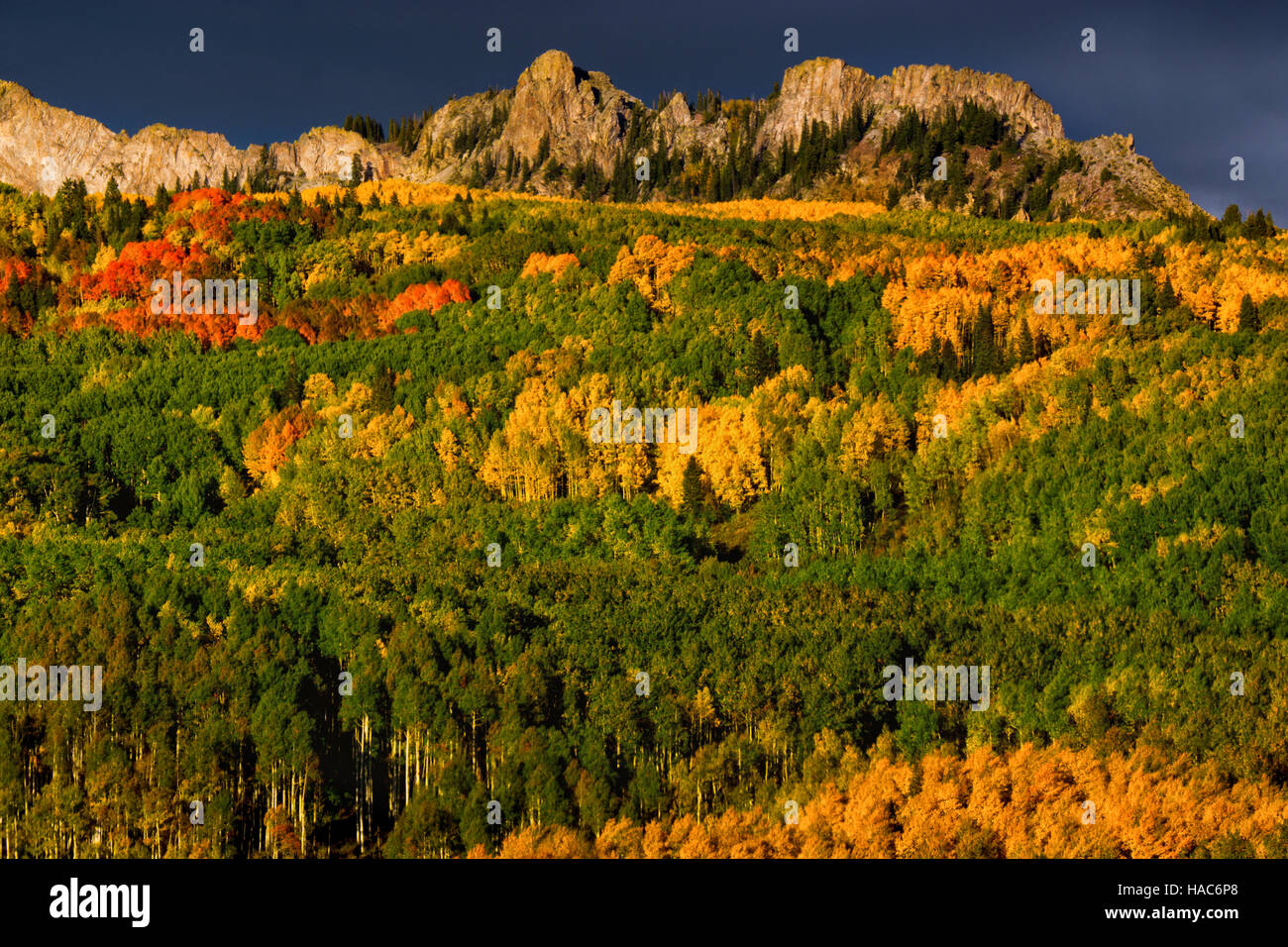 "The Dike" along Kebler Pass in Colorado comes alive in the evening ...