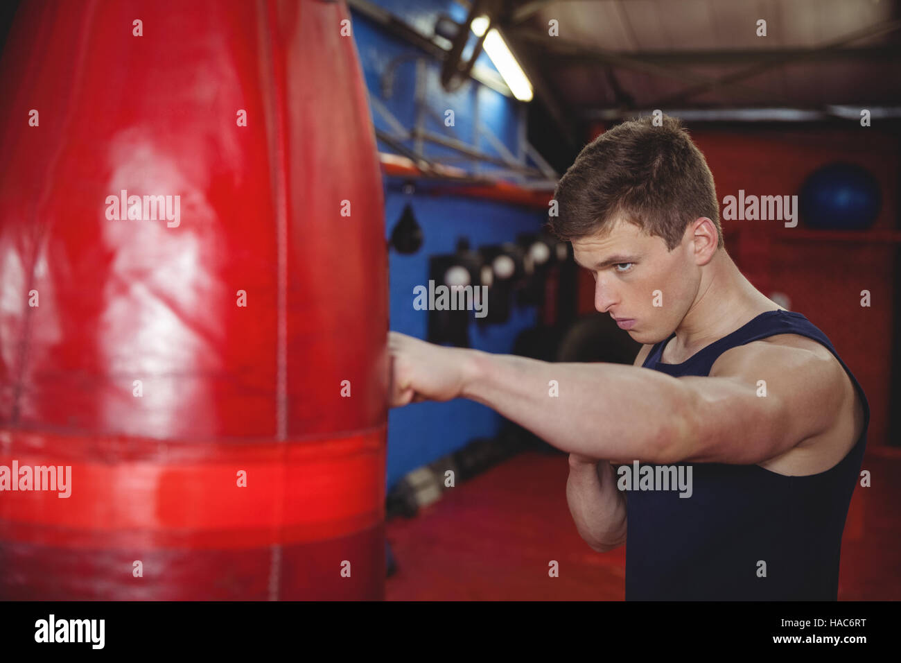 Boxing boy hi-res stock photography and images - Alamy
