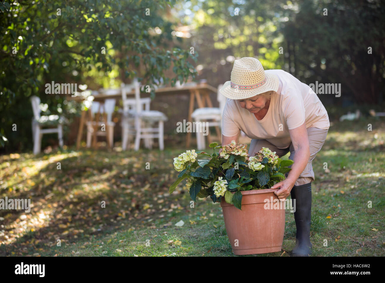 Senior woman carrying pot plant in garden Stock Photo - Alamy