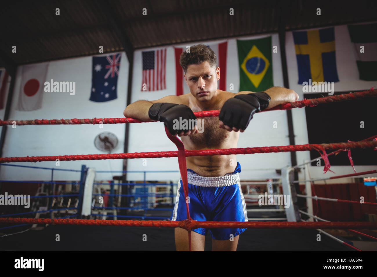 Tired boxer hi-res stock photography and images - Alamy