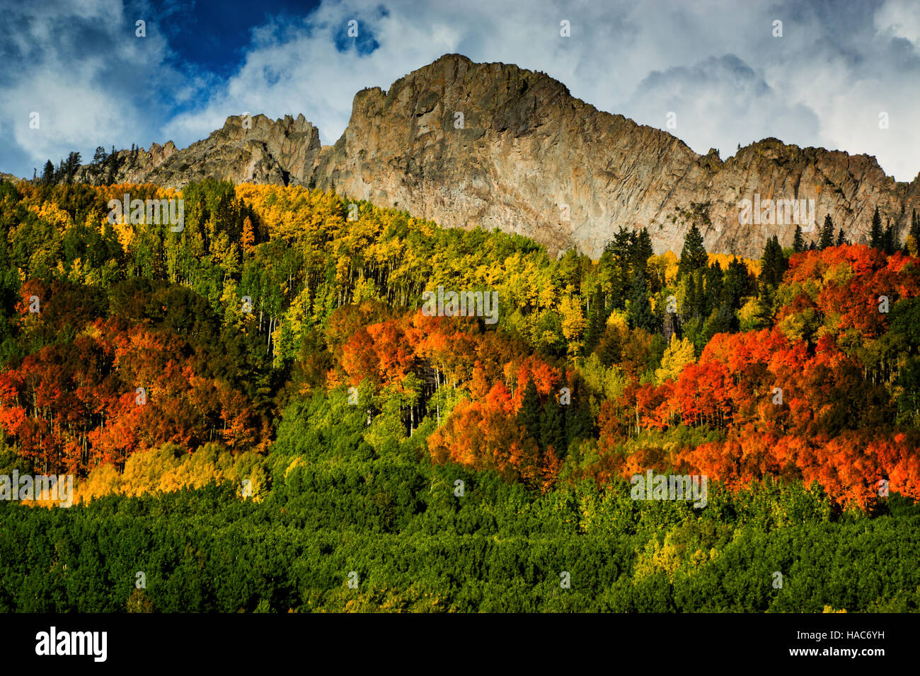 The Dike area of Kebler Pass in Colorado shows off it's beautiful coat ...