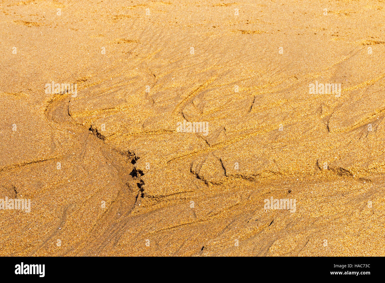 Close up of naturally formed patterns and textures on wet beach sand ...