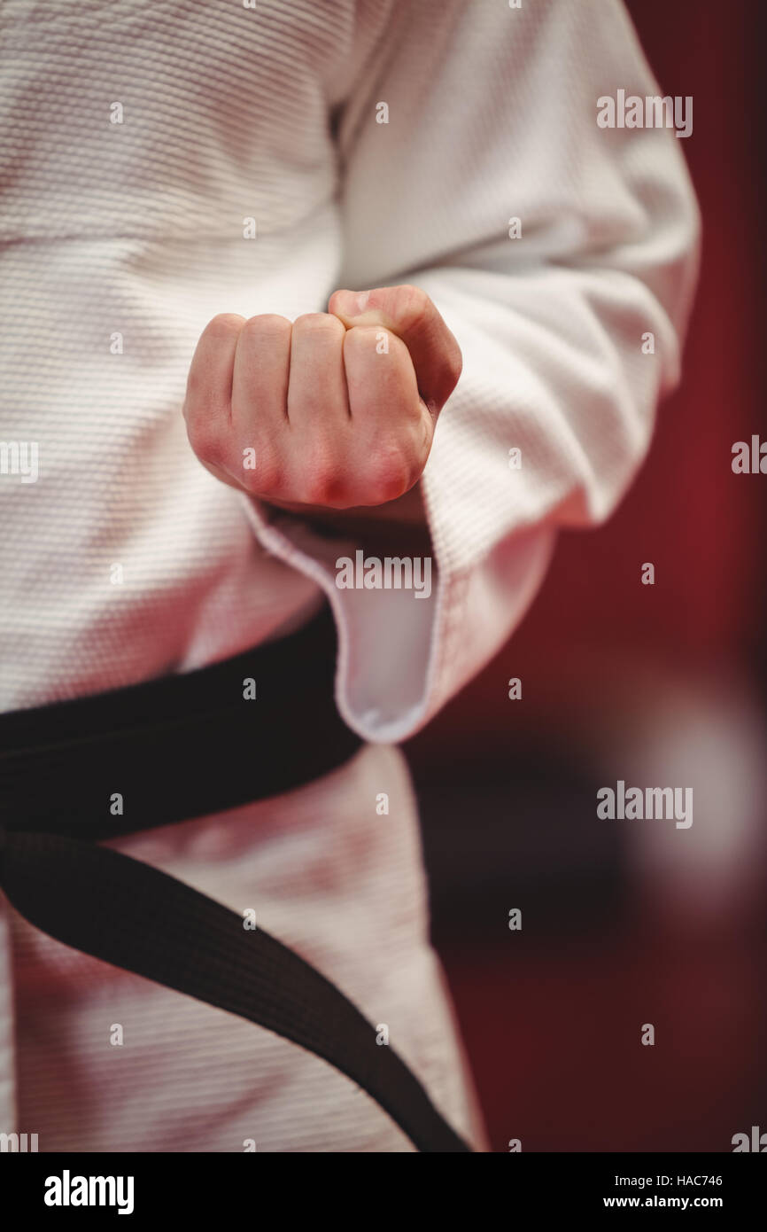 Karate player performing karate stance Stock Photo - Alamy