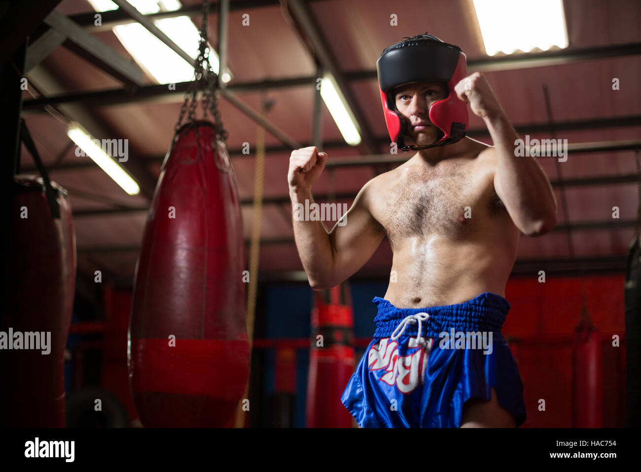 Confident boxer performing boxing stance Stock Photo - Alamy
