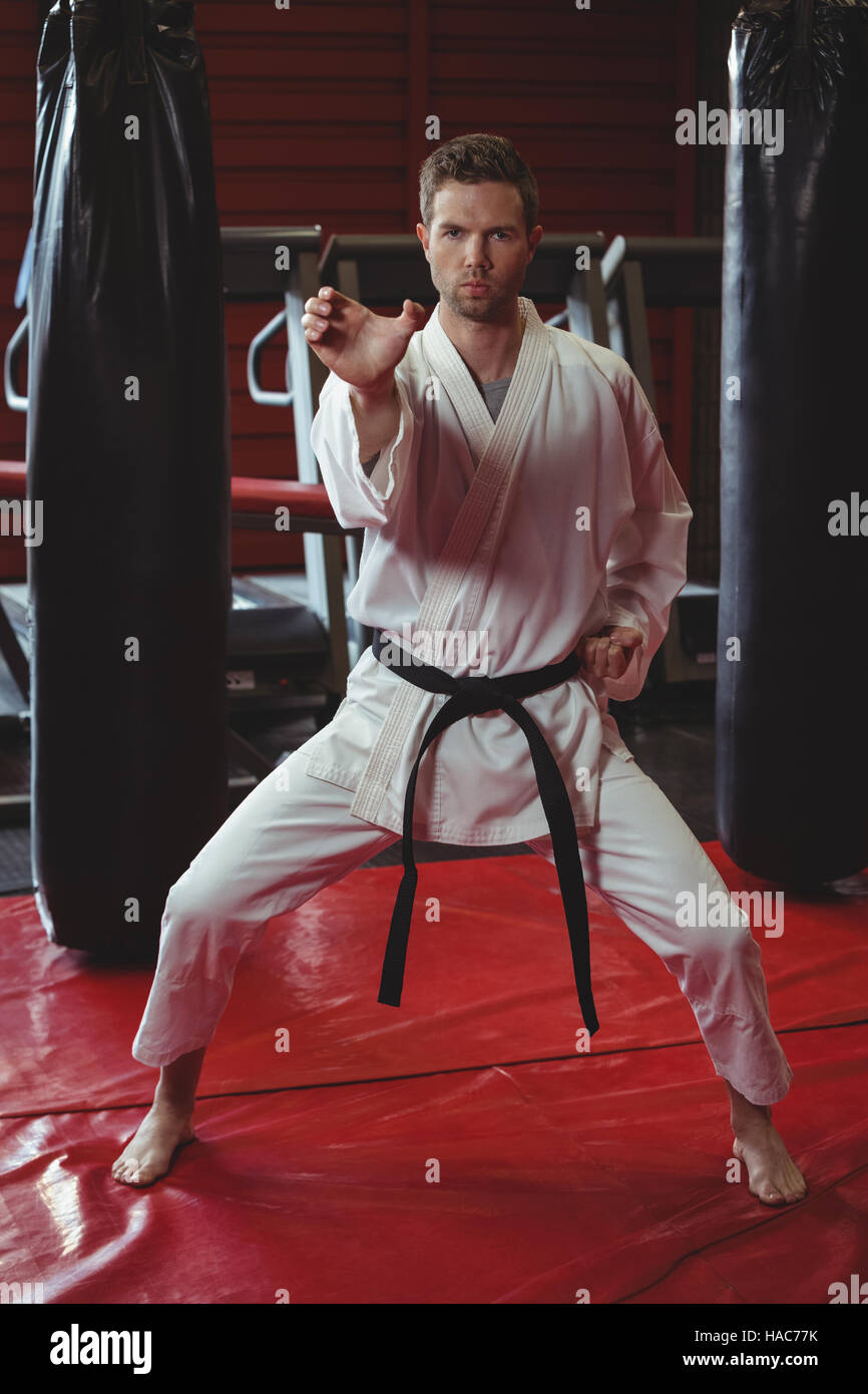 Karate player performing karate stance Stock Photo - Alamy