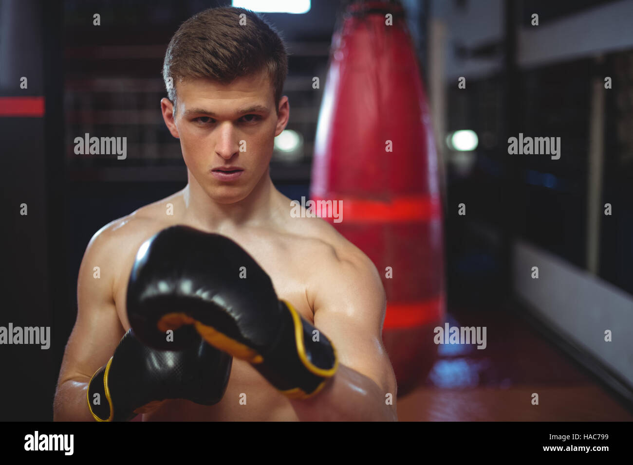 Boxer performing boxing stance Stock Photo - Alamy