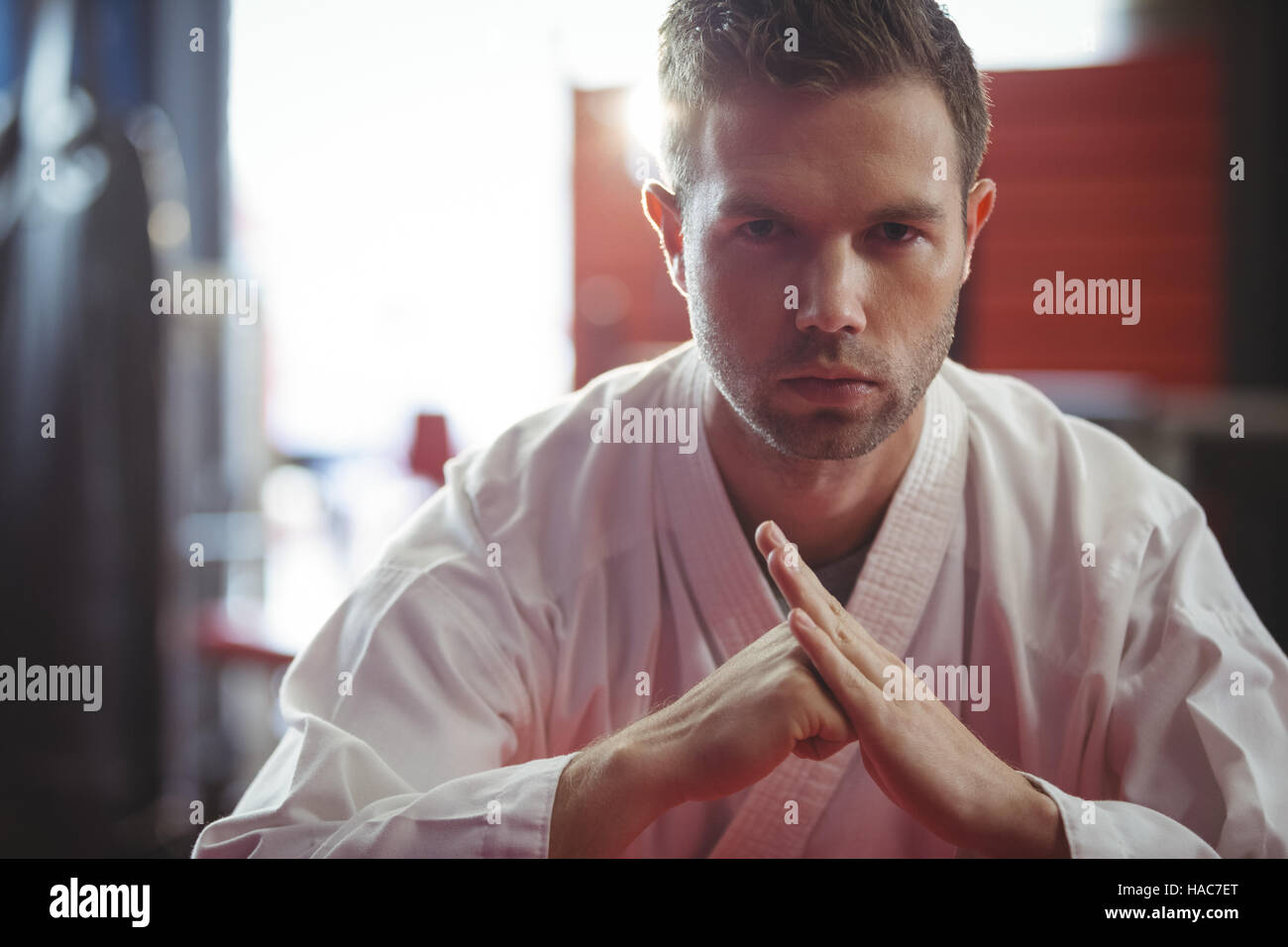 Karate player performing karate stance Stock Photo - Alamy