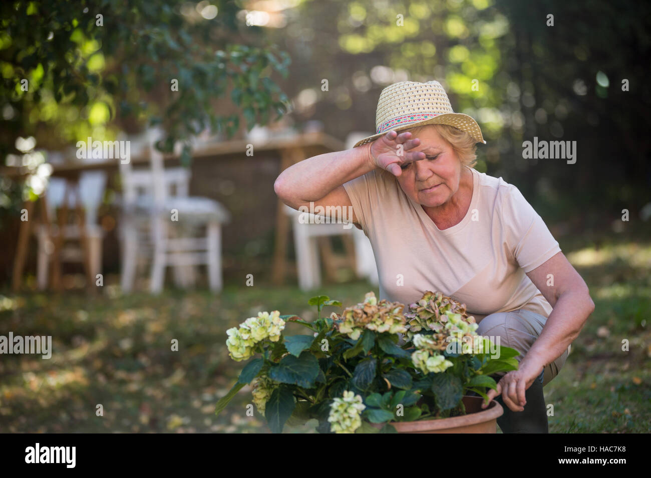 Woman carrying pot plant hi-res stock photography and images - Alamy