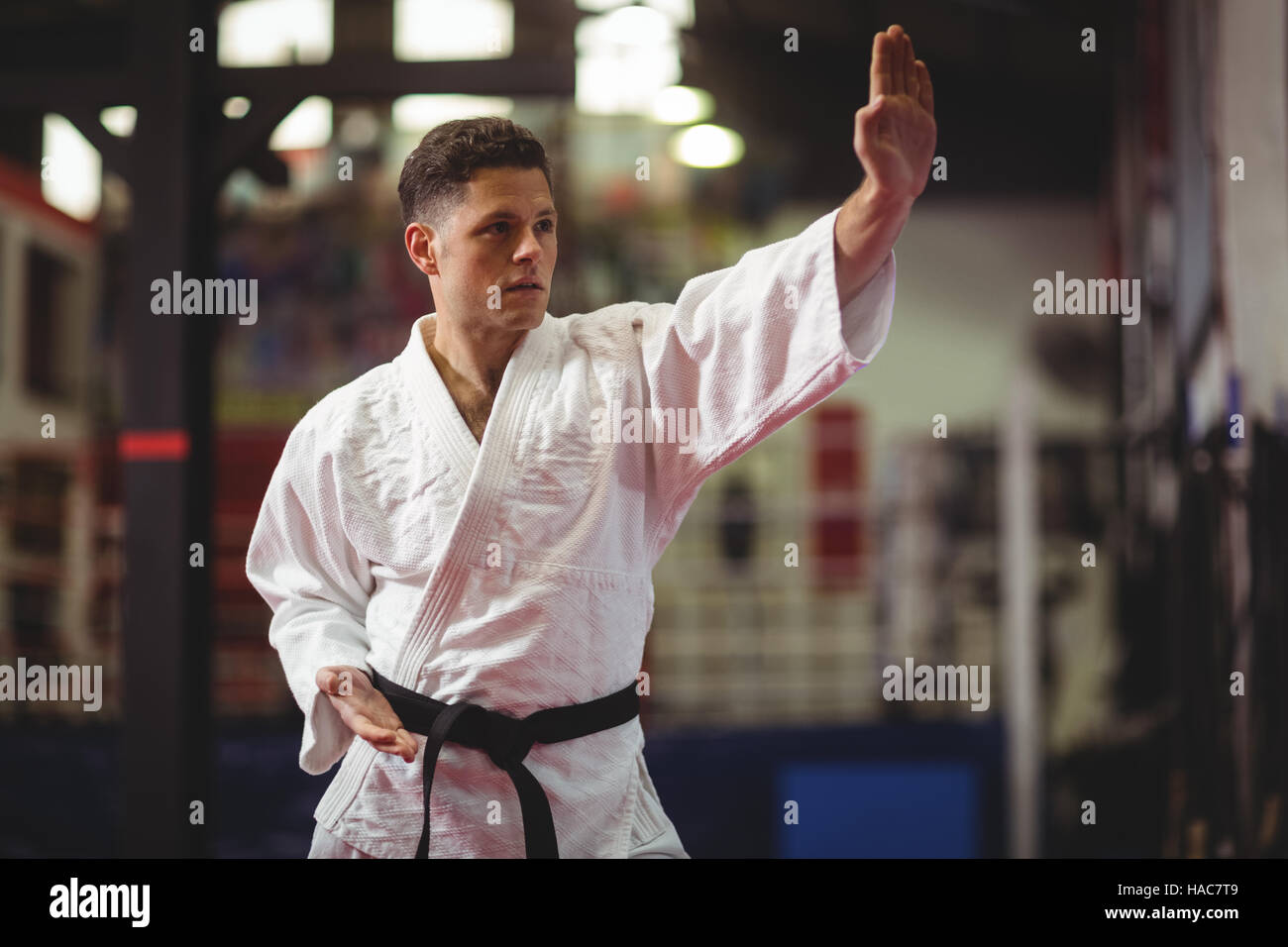 Karate player performing karate stance Stock Photo - Alamy