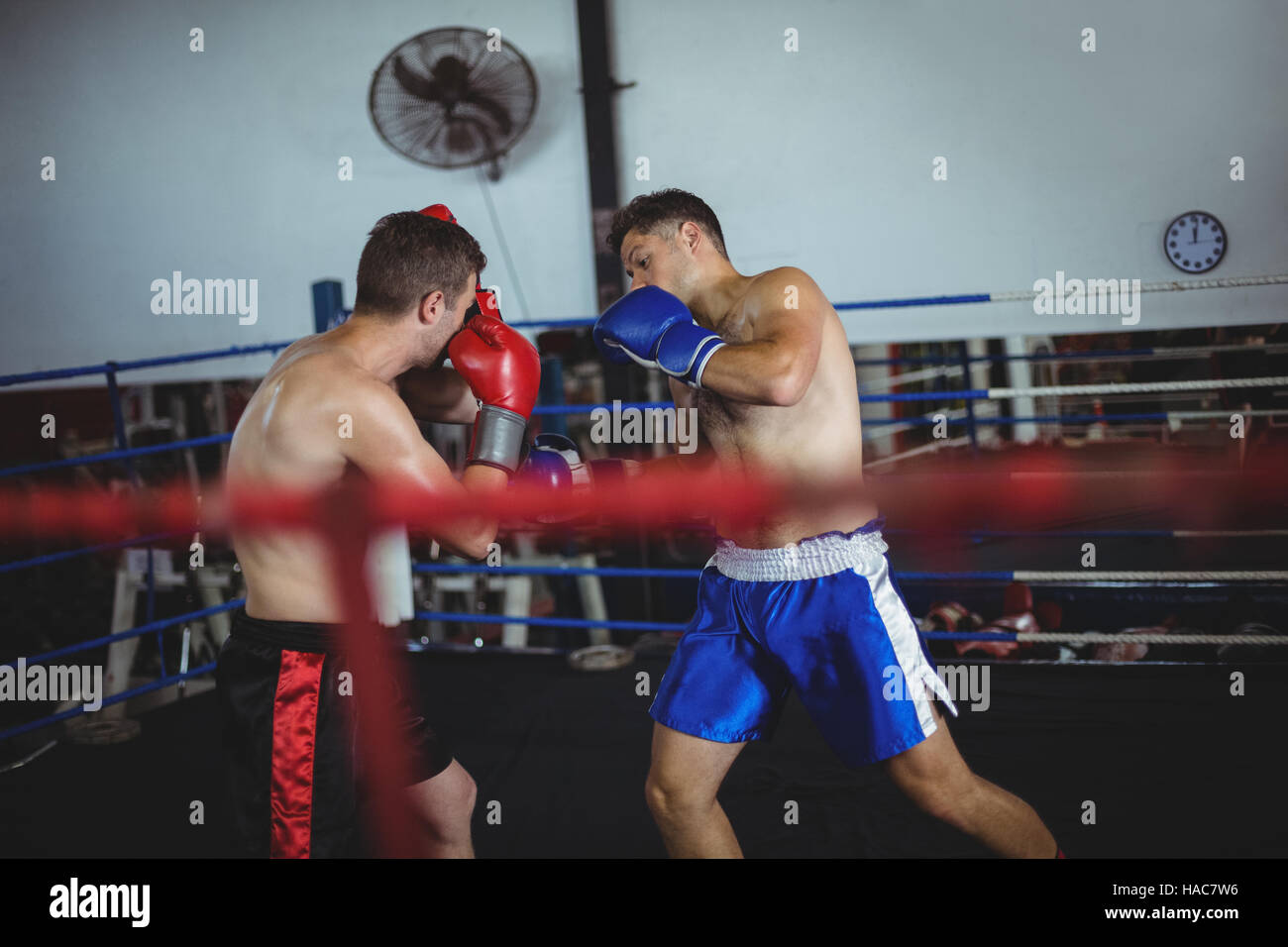 Boxers fighting in boxing ring Stock Photo - Alamy