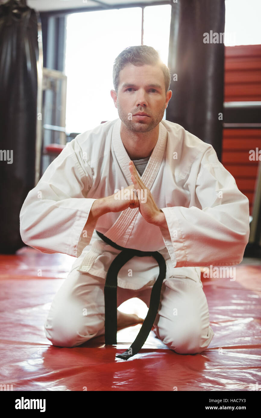 Karate player performing karate stance Stock Photo - Alamy