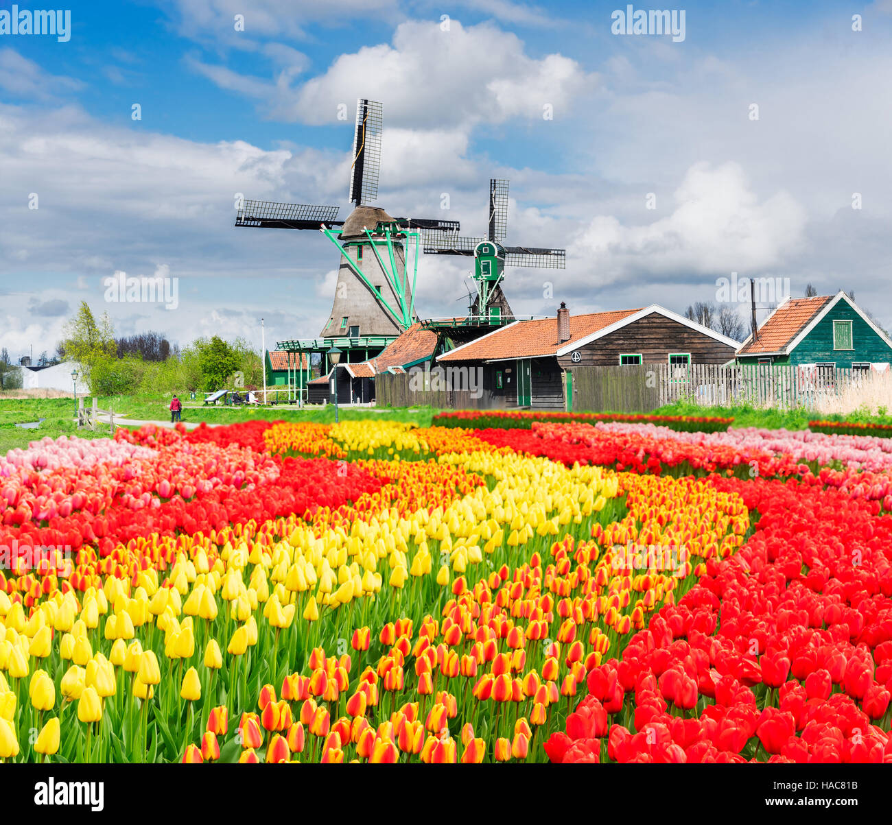 Dutch wind mills Stock Photo - Alamy