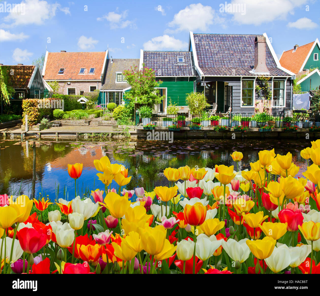 old town of Zaandijk, Netherlands Stock Photo - Alamy