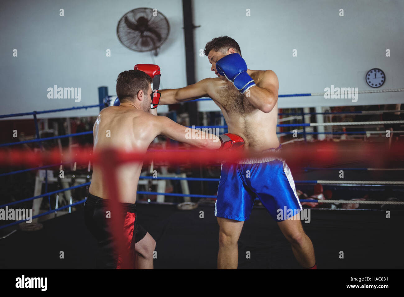 Boxers fighting in boxing ring Stock Photo - Alamy