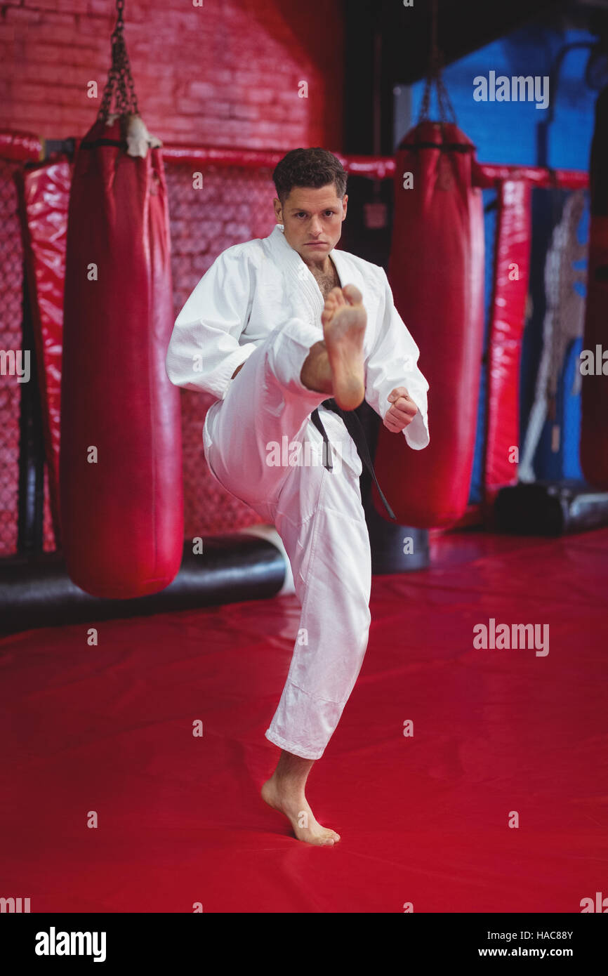Karate player practicing karate stance Stock Photo - Alamy