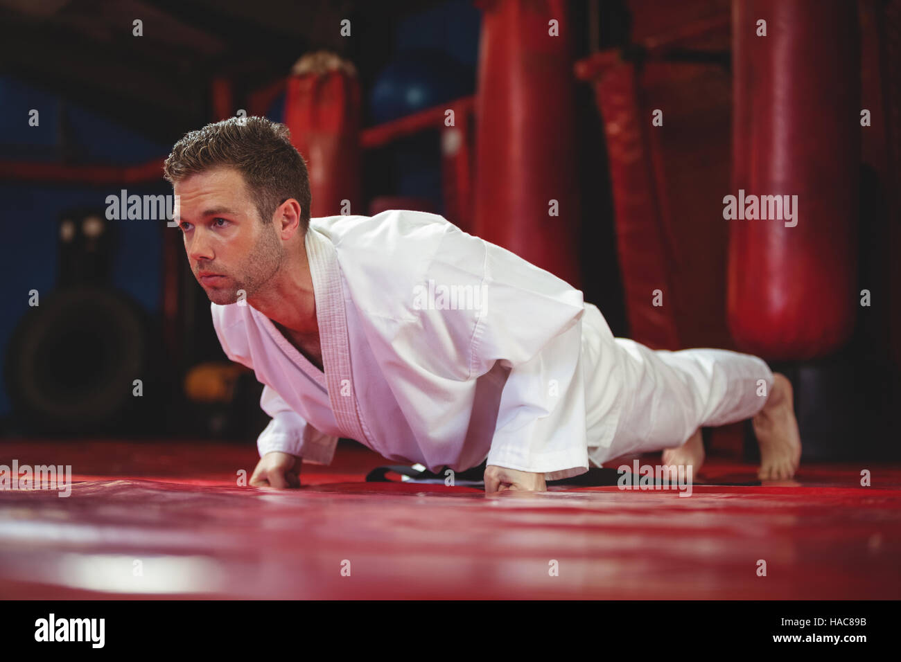 Karate player performing karate stance Stock Photo - Alamy